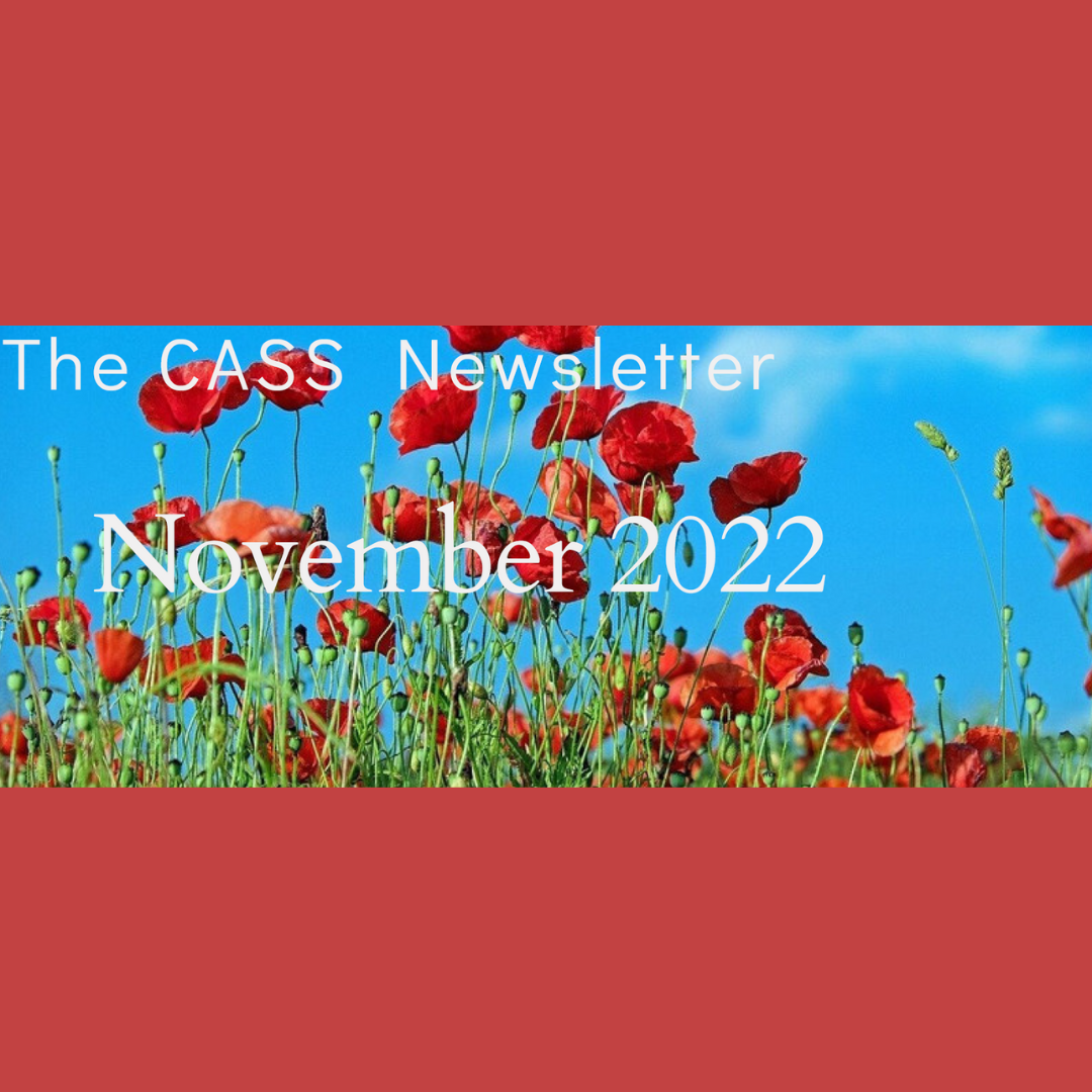 The CASS Report November 2022 - Calgary Alternative Support Services